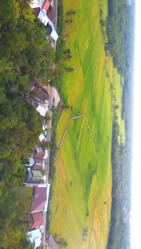 Website Resmi Desa Sungai Rukam I Kecamatan Pugaan Kabupaten Tabalong